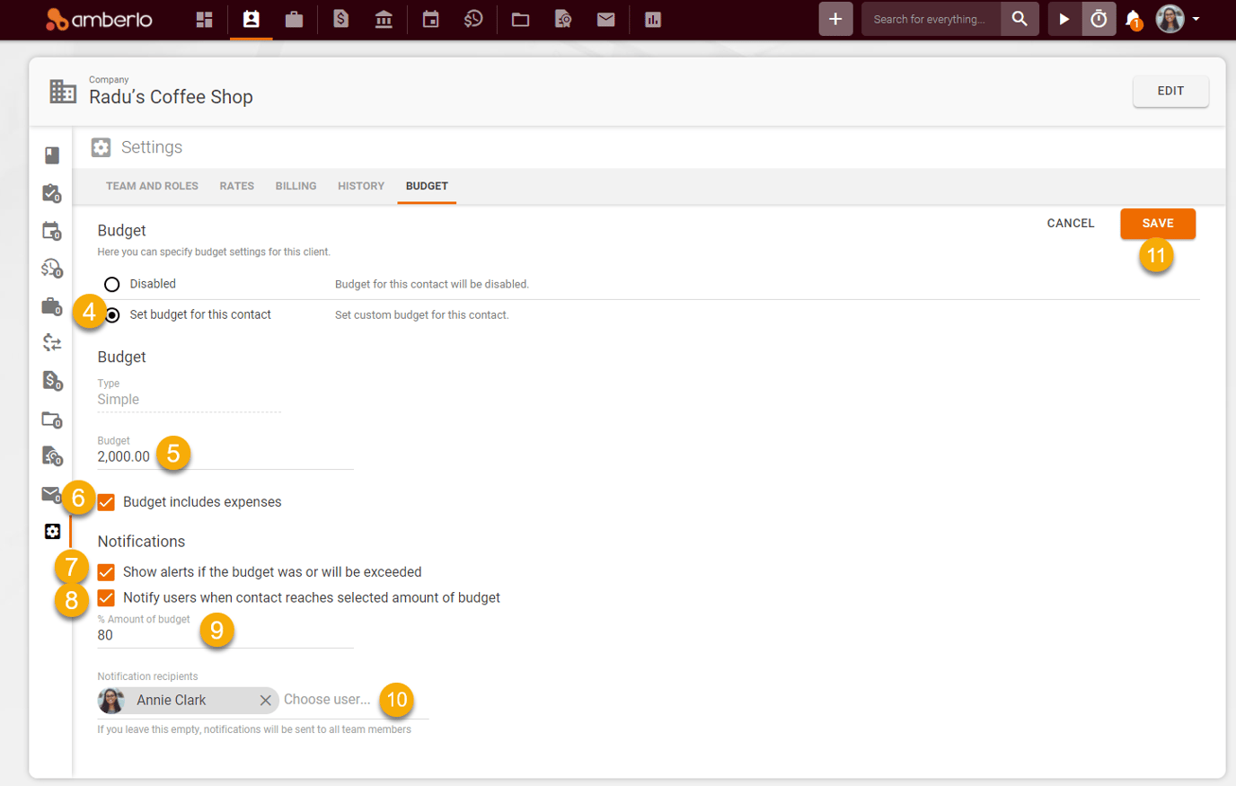 How to enable and use Budget for Matter or Client?