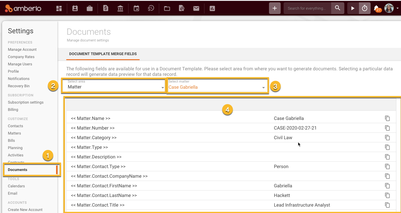 What is a Document Template Merge Field?